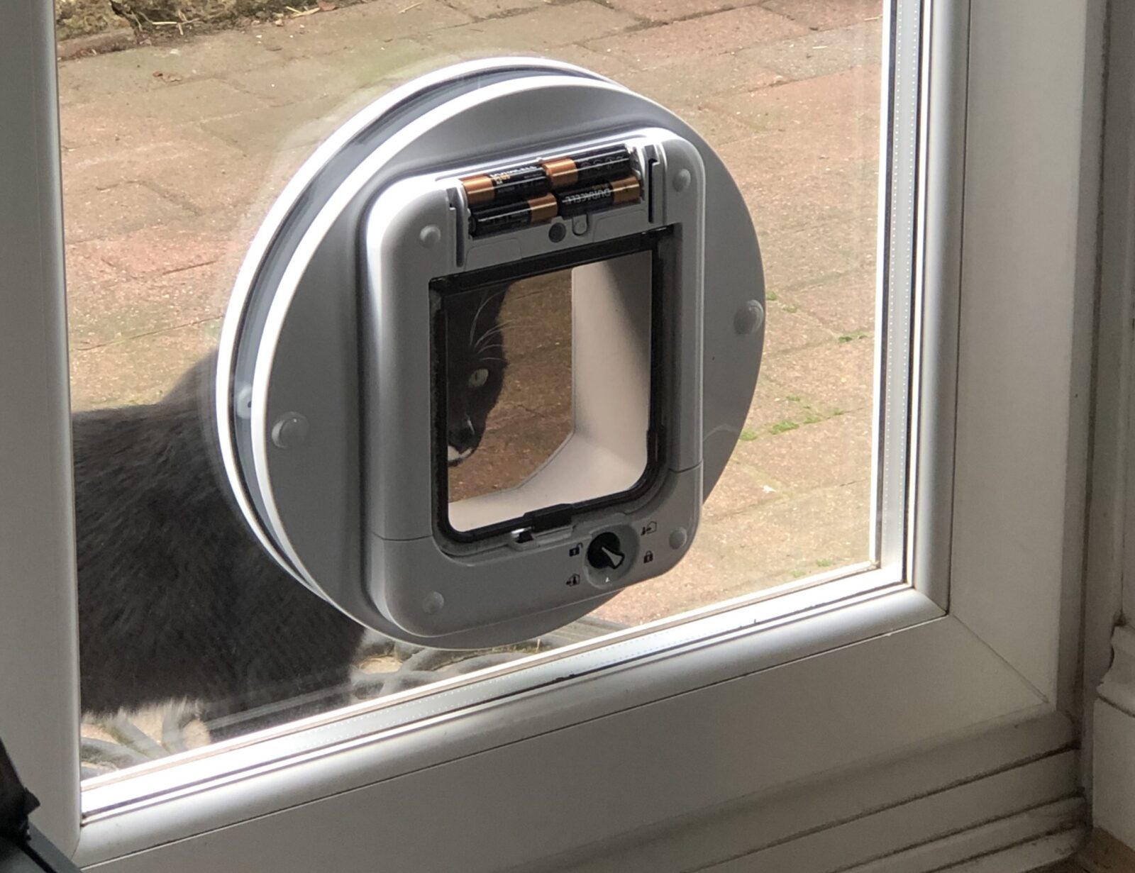 How Do I Teach My Cat How To Use A Cat-Flap?