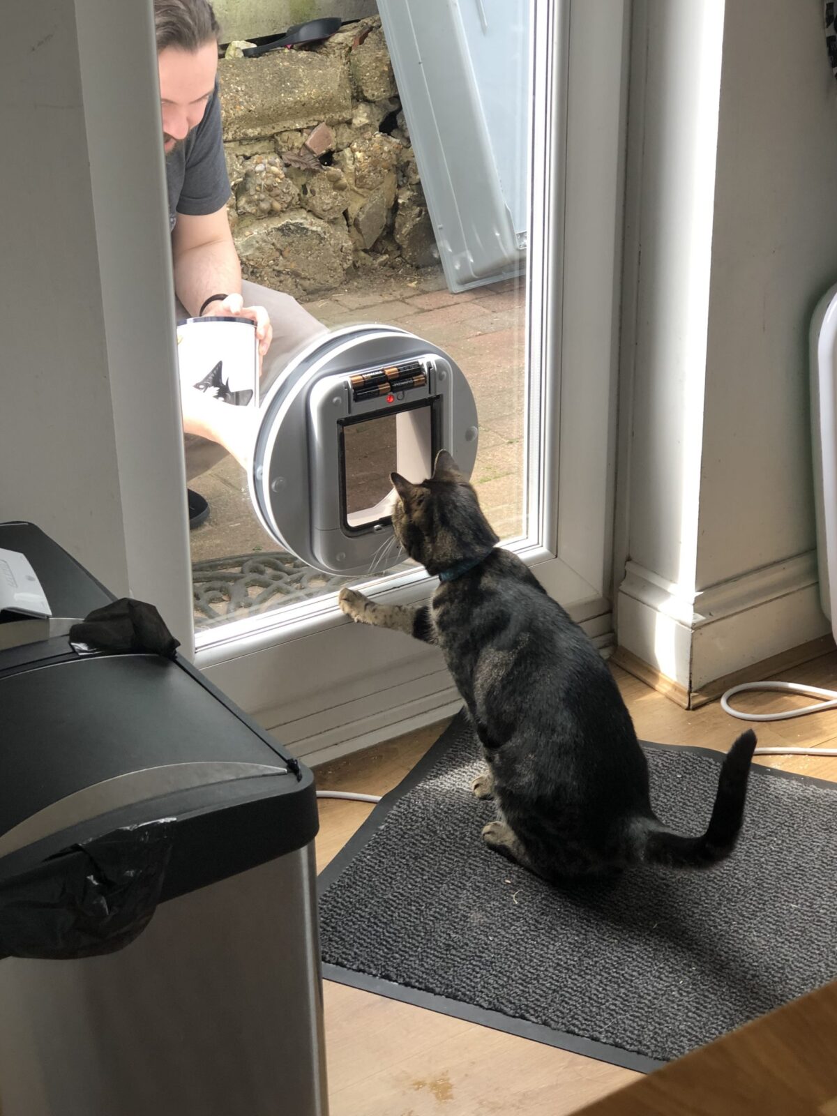 How Do I Teach My Cat How To Use A Cat-Flap?